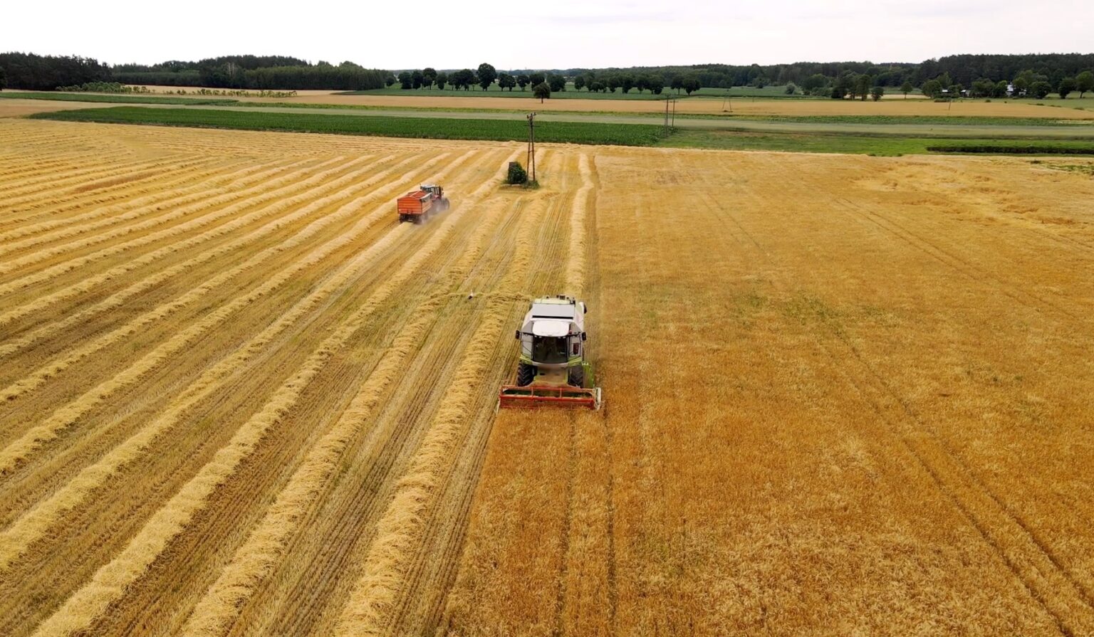 Start Your Own Cooperative Farming Initiative: A How-To Guide - Pioneer ...